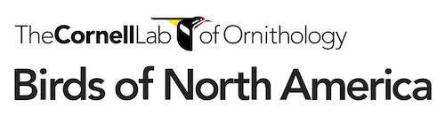 Source Content - Birds of the World