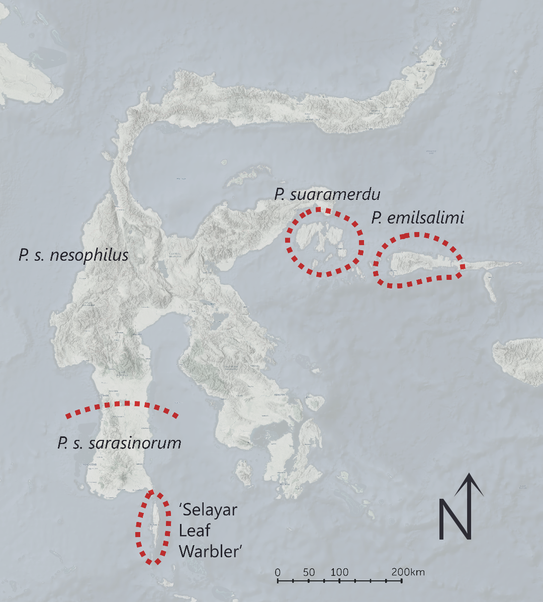 Indonesia reveals yet another mystery, an as-yet-undescribed leaf ...