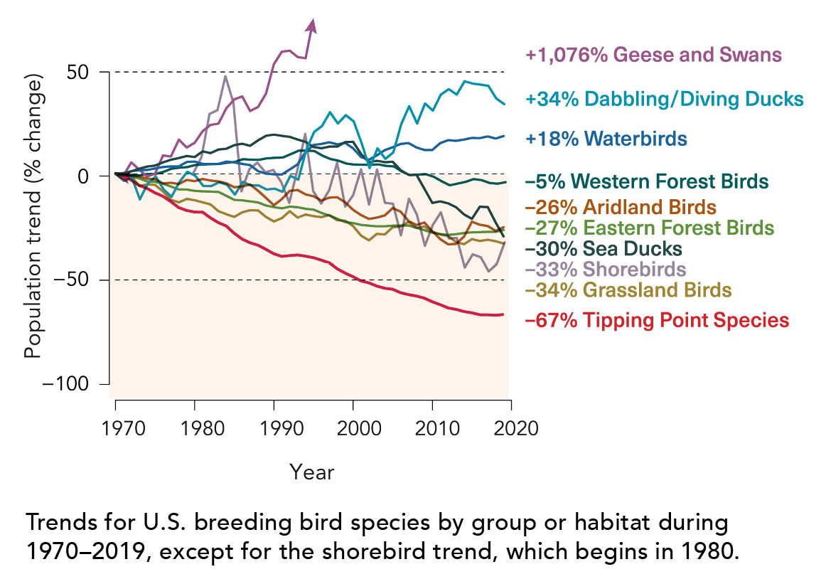 The 2022 U.S. State of the Birds Report Reveals Widespread Losses of ...