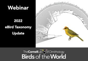 Birds of the World - Cornell Lab of Ornithology
