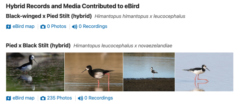 New Hybridization section offers unparallelled visibility into avian ...