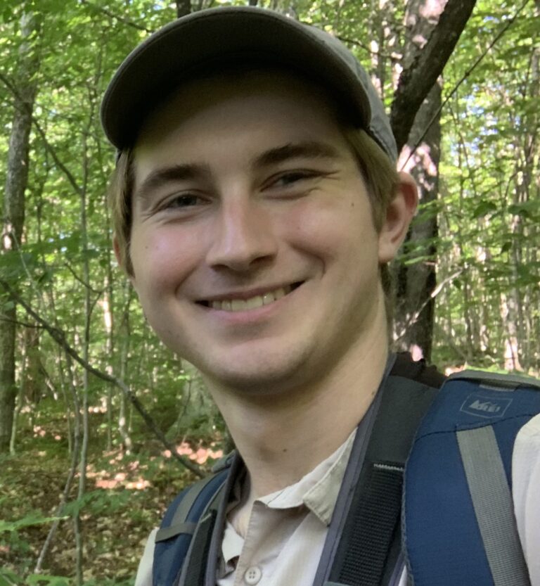 Team - Birds of the World