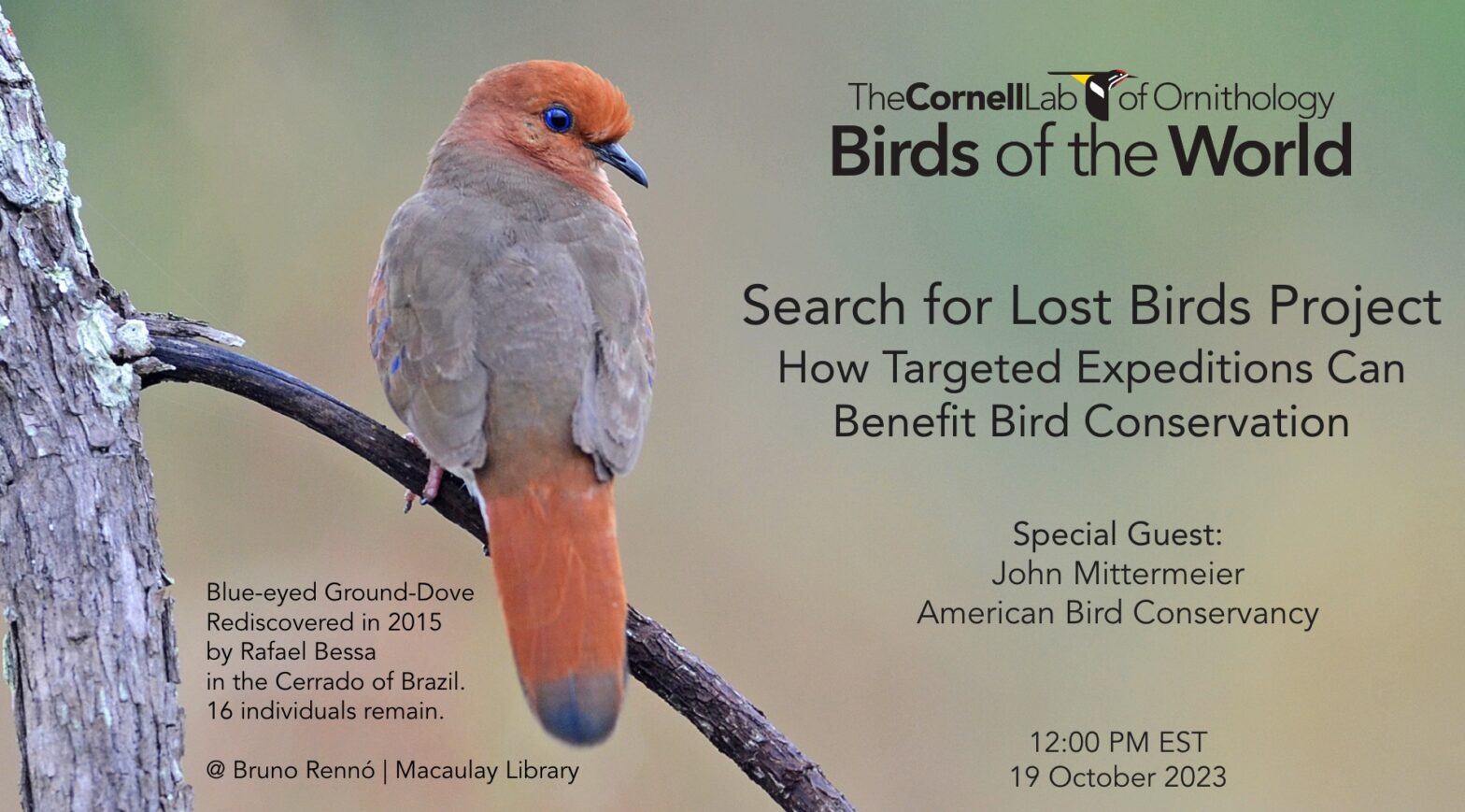 Science Blog - Birds of the World