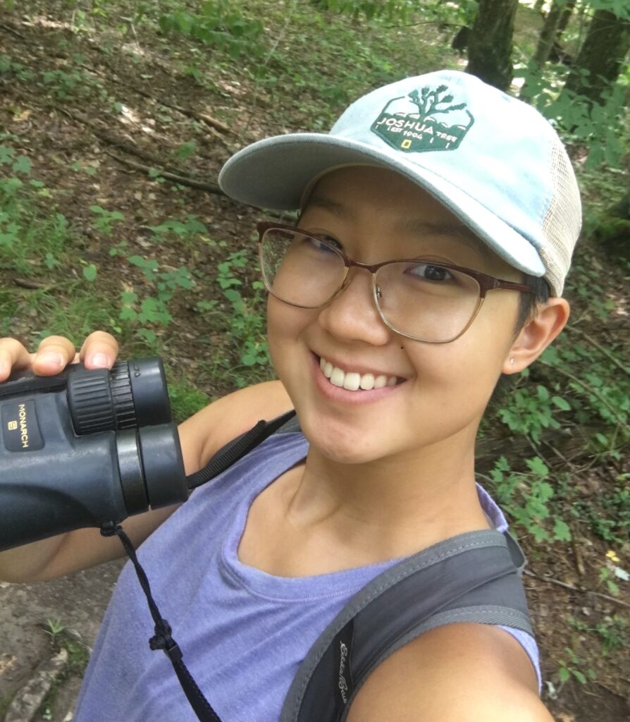 Team - Birds of the World