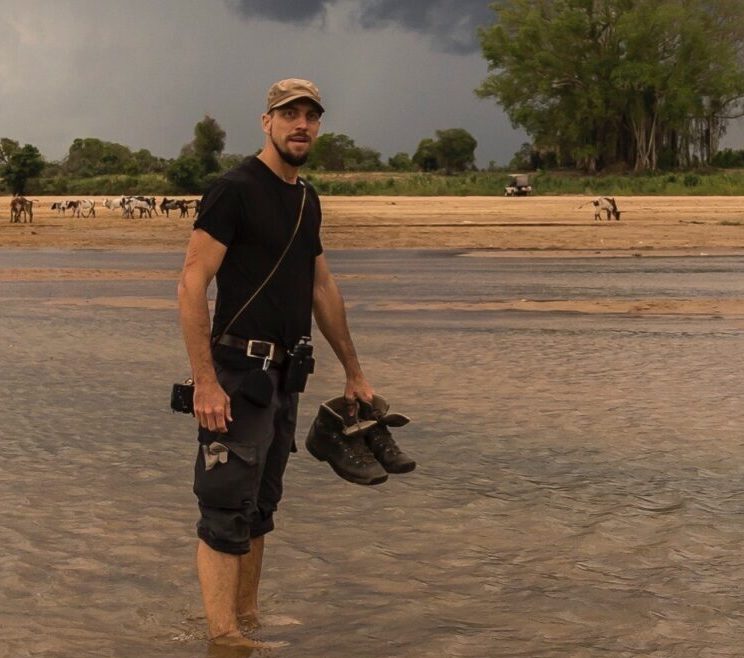 Team - Birds of the World