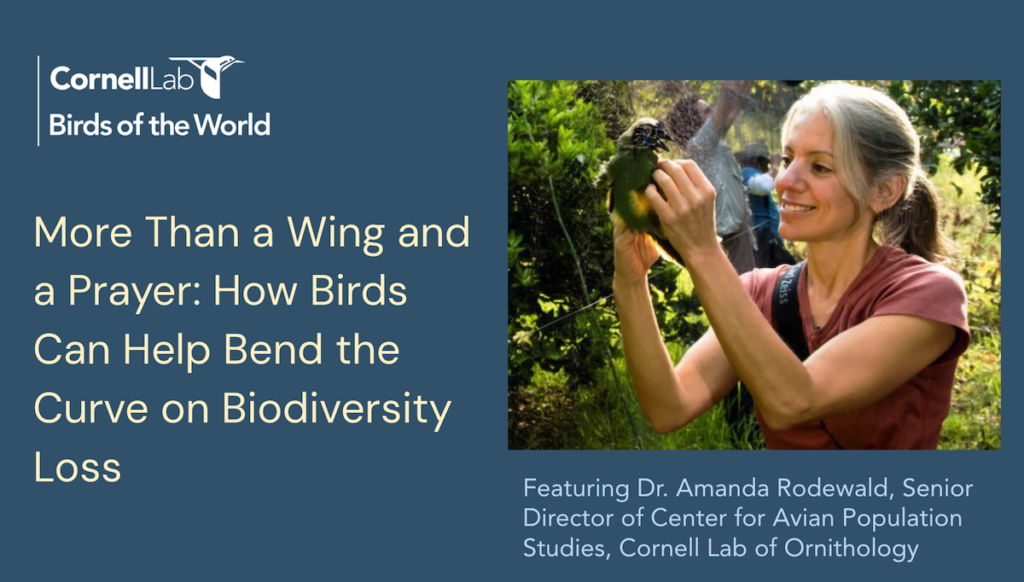 Birds of the World - Cornell Lab of Ornithology