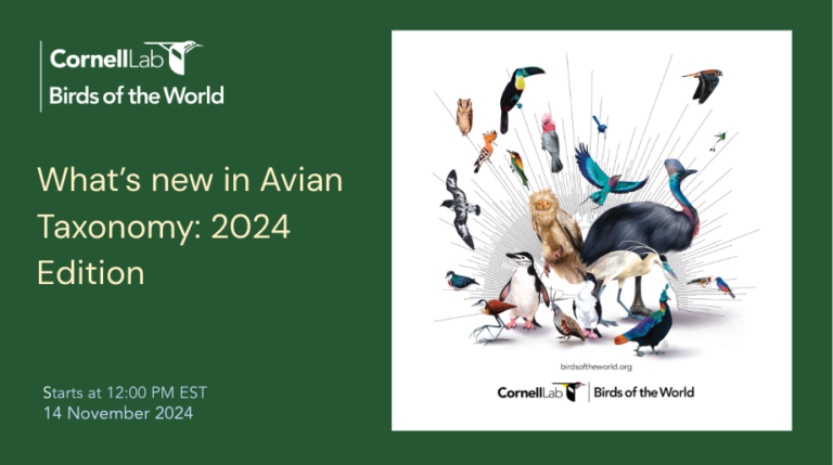 Birds of the World - Cornell Lab of Ornithology