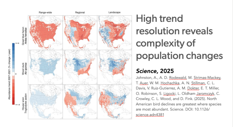 New study finds where birds are declining most; some locales with ...