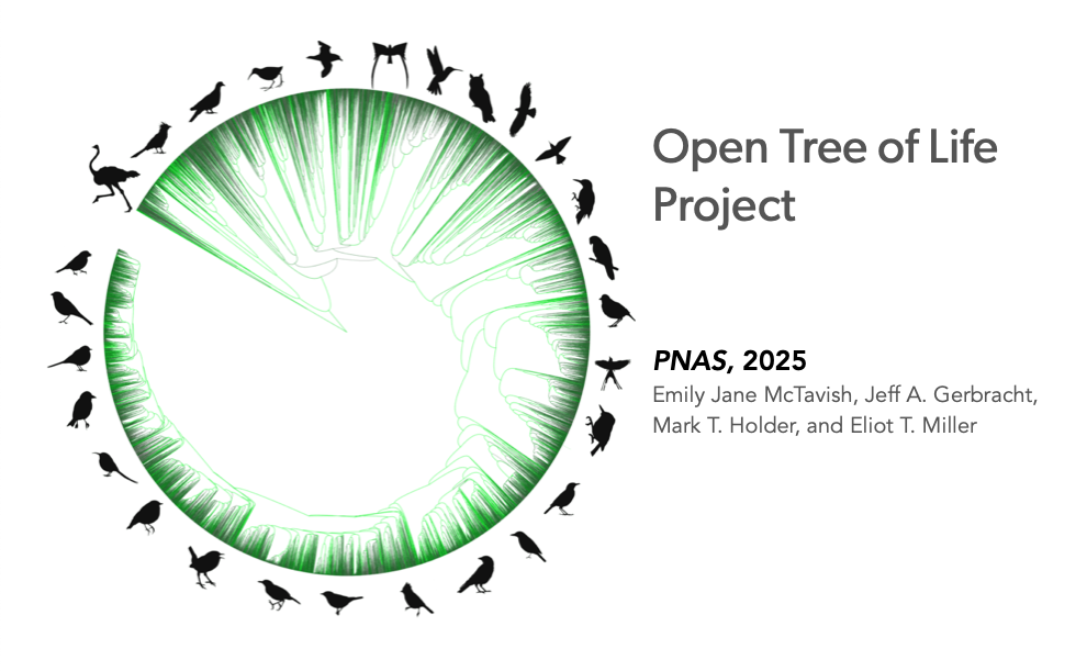 For the first time, all avian evolutionary relationships revealed ...
