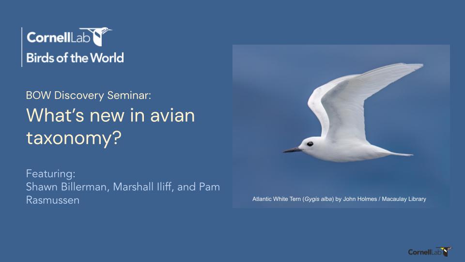 BOW Seminar: What's New in Avian Taxonomy (2025) - Birds of the World